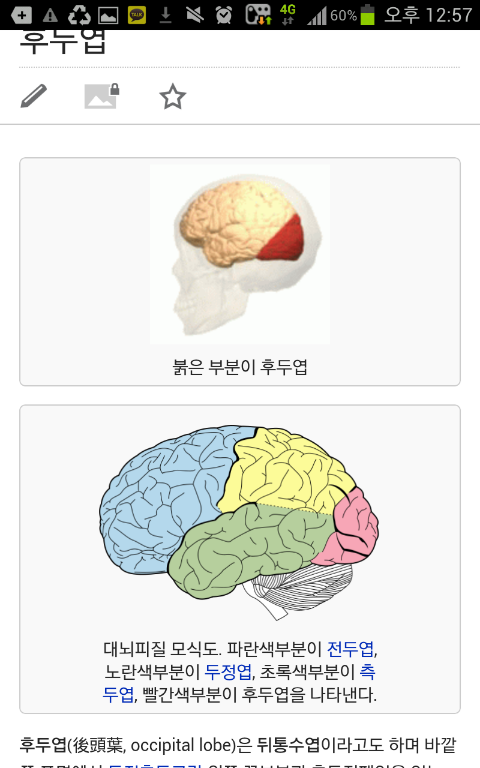 대뇌전두엽 두정엽측두엽후두엽 뇌혁명행복뇌웃음뇌교육임상웃음치료사 스트레스관리학부모교육 학생청소년교육전문강사 천년