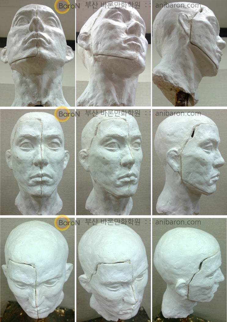 부산만화학원 바론의 얼굴해부학 각도돌리기 인체모델 석고상씨 입니다 네이버 블로그