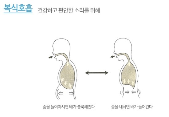 목소리 훈련의 첫 단추 복식호흡과 발성 훈련법스피치 지도사 네이버 블로그