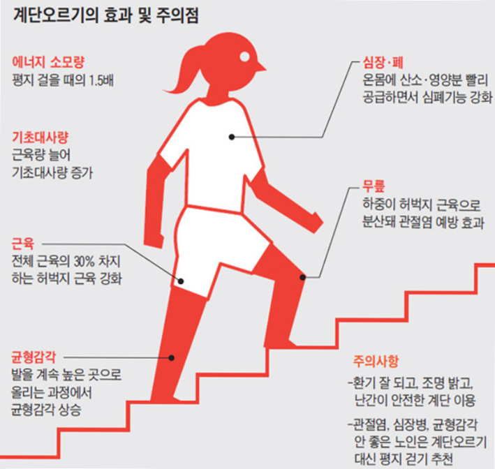 계단오르기효과 알고 운동해요 네이버 블로그