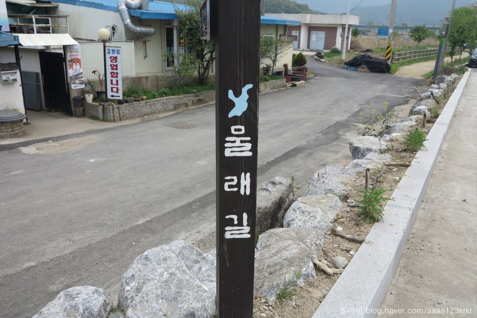 양평 당일치기 세미원 두물머리 가는길 네이버 블로그