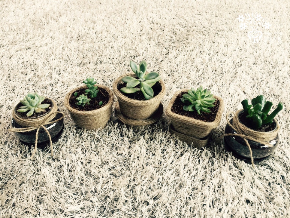 미니화분 다육이 화분 만들기 플라스틱 재활용 화분 네이버 블로그