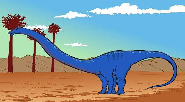 공룡 상식 세계 최강 목긴공룡 브라키오사우루스 카마라사우루스 바로사우루스 살타사우루스 아파토사우루스 슈노사우루스