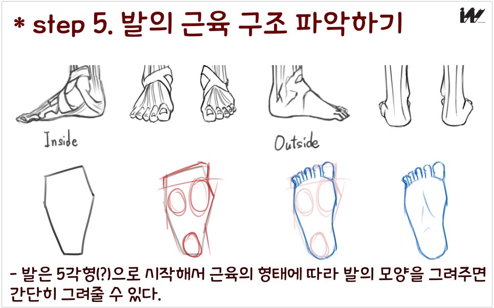 인체공부 다리와 발 그리기 And 황금비율 네이버 블로그