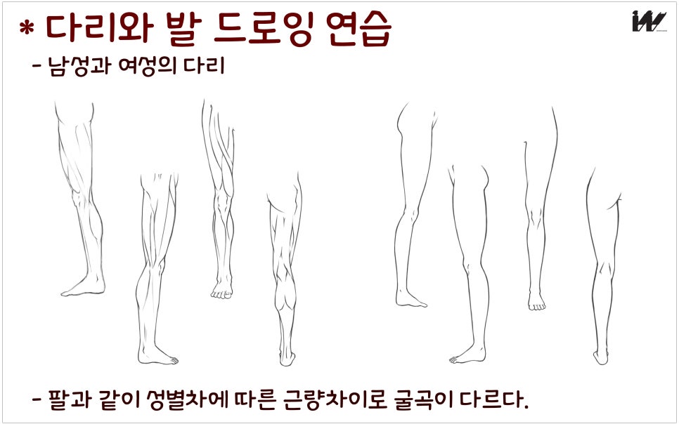 인체공부 다리와 발 그리기 And 황금비율 네이버 블로그