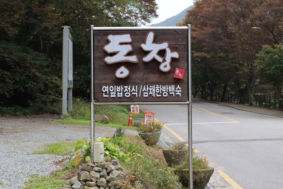 장성 백양사 맛집 동창 삼채 연잎밥 정식 네이버 블로그