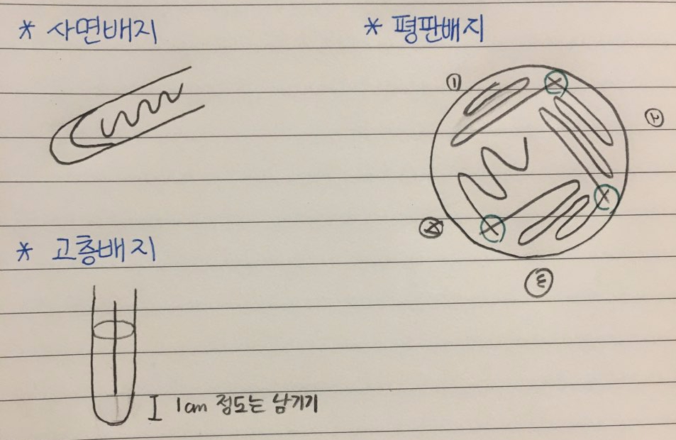 식품기사 실기 미생물실험배지의 조제 및 접종사면고층평판배지 네이버 블로그