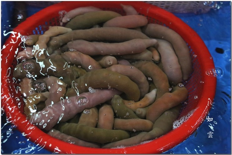 개불(Gaebul) : 네이버 블로그