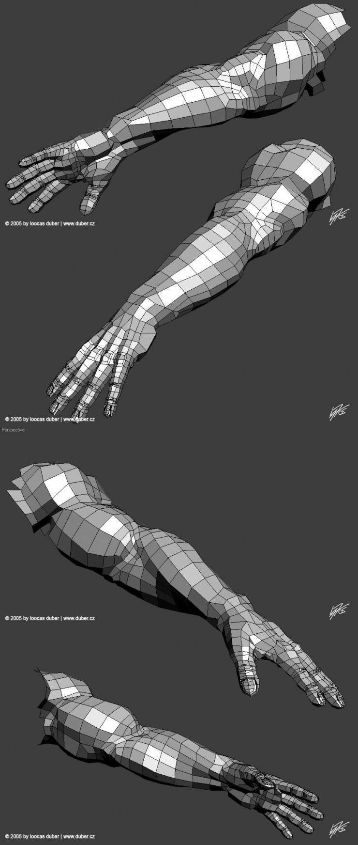 arm_mesh.jpg (740×1744)-花瓣网